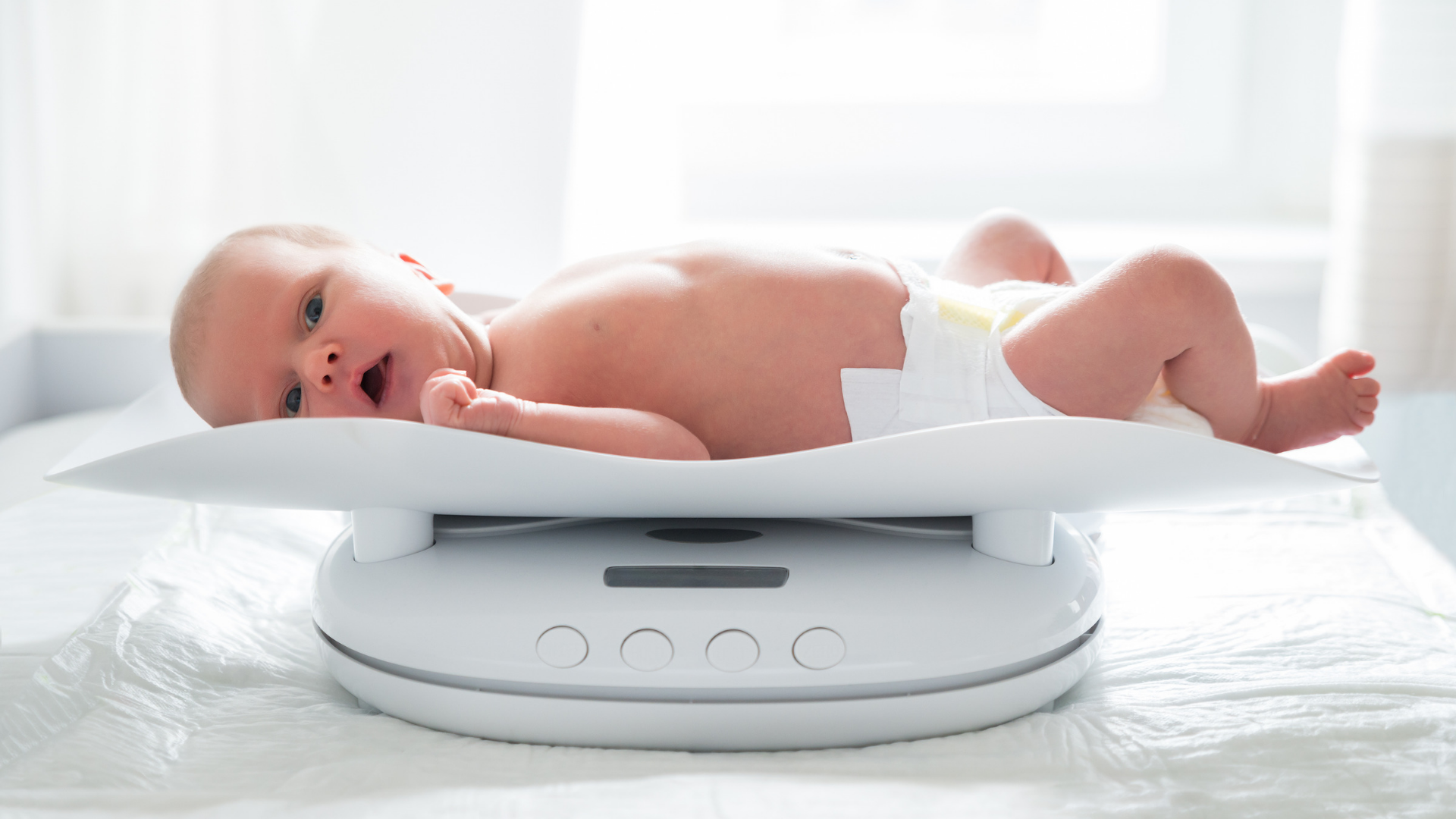 Birthing Big Babies - Your Doula, Natalie Lutge